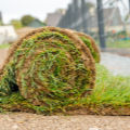 Gazon en rouleau : producteur gazon naturel en rouleau Bretagne
